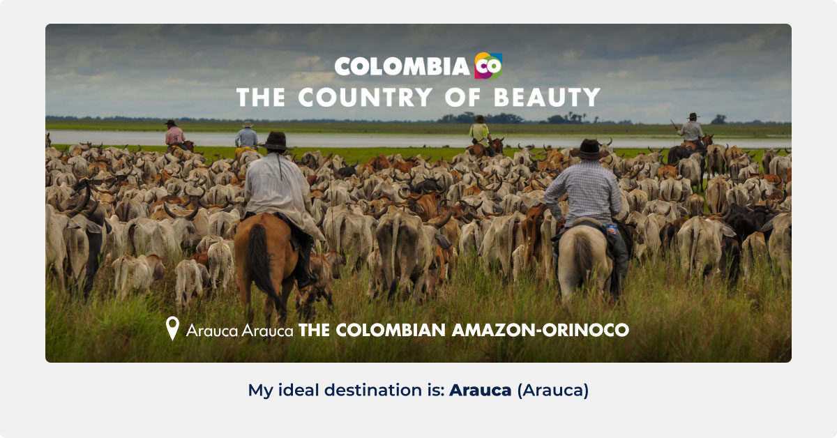 Arauca, Arauca - Trivia Colombia